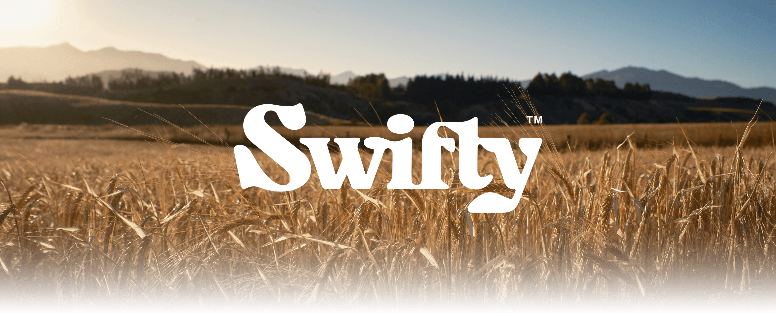 About Swifty | Garage Project